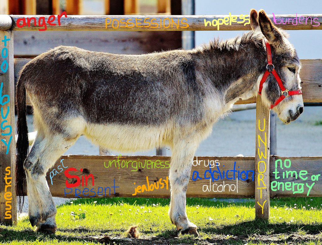 Untie the Donkey - Lean Into Jesus